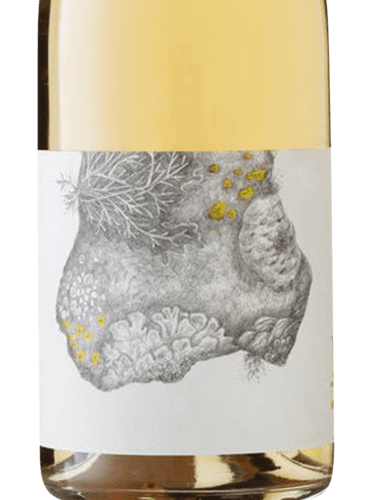 Fleet Pinot Gris | Vivino English
