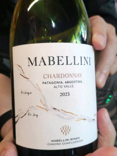 Mabellini Wines Chardonnay | Vivino US