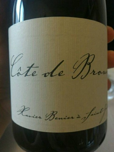 2015 Xavier Benier Brouilly | Vivino US