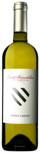 Conte Brandolini Pinot Grigio | Vivino English