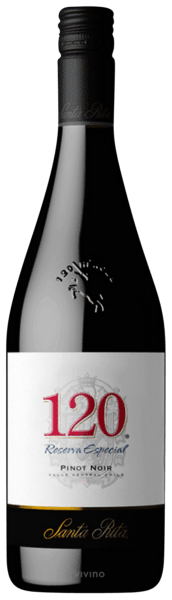 2012 Santa Rita 120 Reserva Especial Pinot Noir | Vivino US