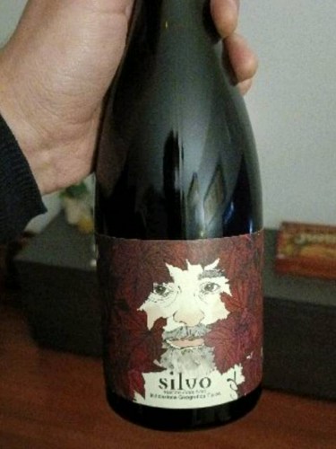 Azienda Agricola De Leyva Silvo Pinot Nero | Vivino US