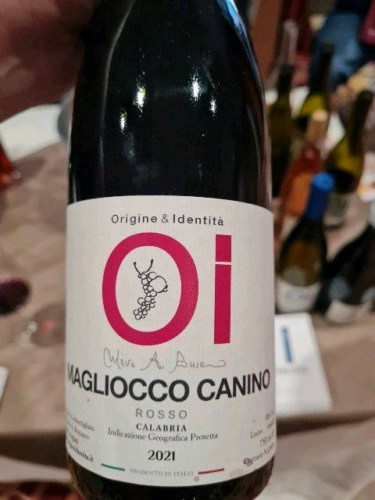 Origine & Identità Magliocco Canino | Vivino US