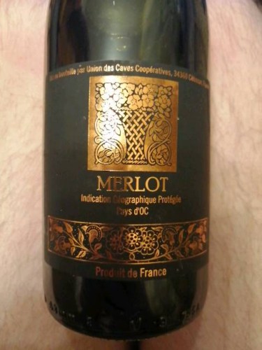 Union Caves Coopératives Saint Chinian Cébazan Merlot | Vivino US