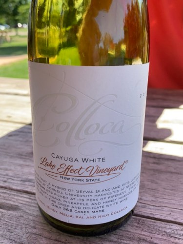 Colloca Lake Effect Vineyard Cayuga White | Vivino US
