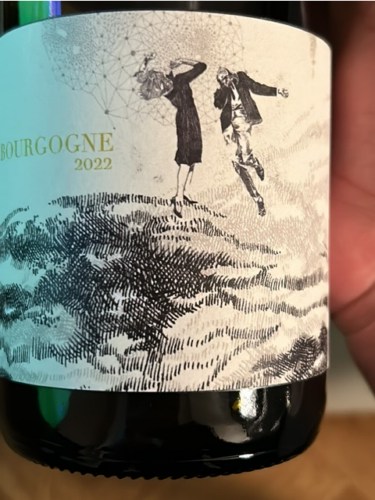 Domaine Didon Pinot Noir - Gamay | Vivino US