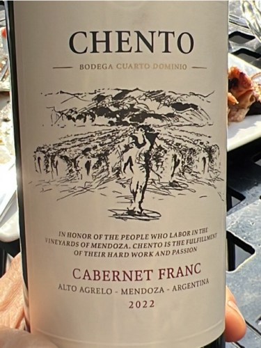 Bodega Cuarto Dominio Chento Cabernet Franc | Vivino US