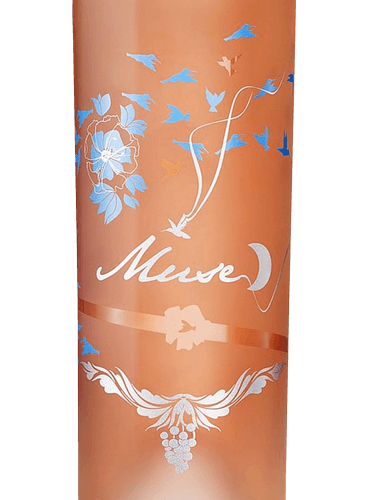 Muse Night Cabernet Franc (Blue) | Vivino US