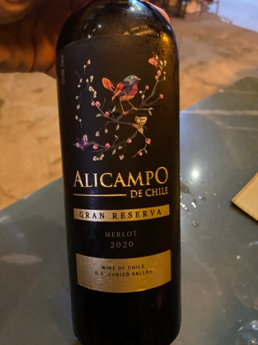 Alicampo de Chile Gran Reserva Merlot | Vivino US