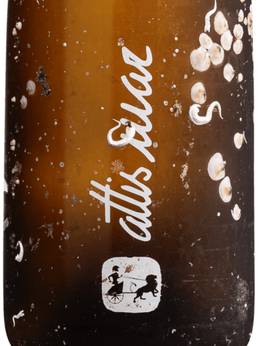 Attis Attis Mar Albariño | Vivino