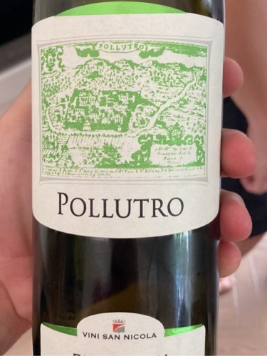 Vini San Nicola Pollutro Falanghina | Vivino US