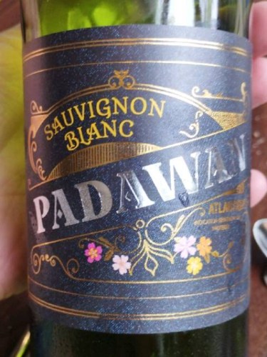 Padawan Sauvignon Blanc | Vivino US