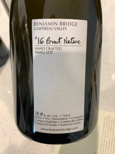 Benjamin Bridge Hand Crafted Small Lot Brut Nature | Vivino English