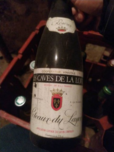 Les Caves de la Loire Côteaux du Layon Rouge | Vivino US