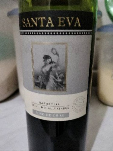 Santa Eva Carménère | Vivino US