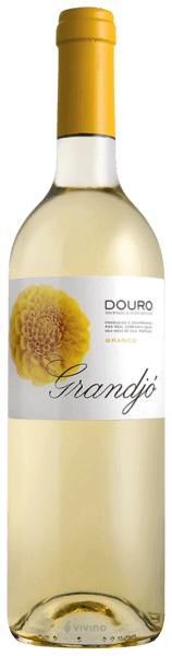 Grandjó Douro Branco (Seco) | Vivino Brasil
