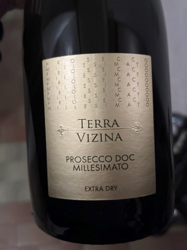 Terra Vizina Prosecco Millesimato Extra Dry | Vivino US
