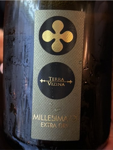 Terra Vizina Prosecco Millesimato Extra Dry | Vivino US