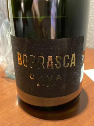 Borrasca Cava Brut | Vivino
