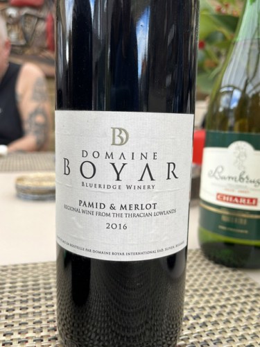 Domaine Boyar Pamid - Merlot | Vivino