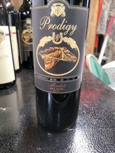 Prodigy Merlot | Vivino US