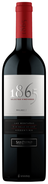 2022 San Pedro 1865 Selected Vineyards Valle de Uco Malbec | Vivino US