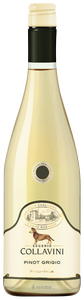 Collavini Villa Canlungo Pinot Grigio | Vivino English