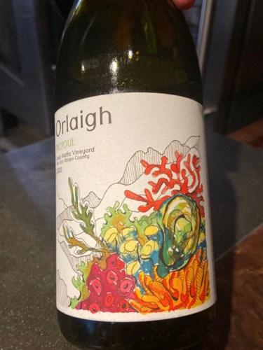 Orlaigh Luna Matta Vineyard Picpoul | Vivino English