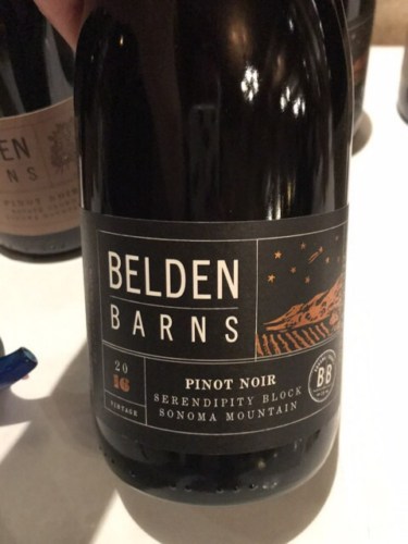 Belden Barns Serendipity Block Pinot Noir | Vivino US