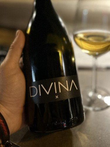 Divina Vina X | Vivino US