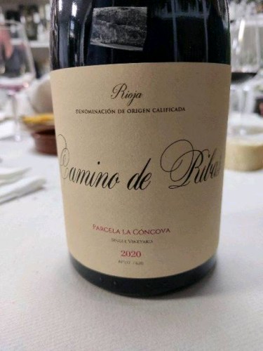 José Gil Camino de Ribas Parcela La Cóncova | Vivino English