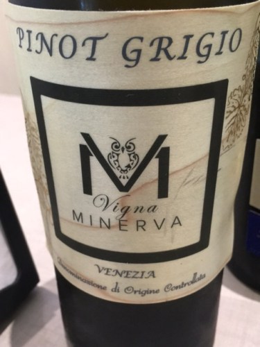 Vigna Minerva Pinot Grigio | Vivino US
