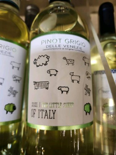 The Little Sheep Pinot Grigio | Vivino Australia