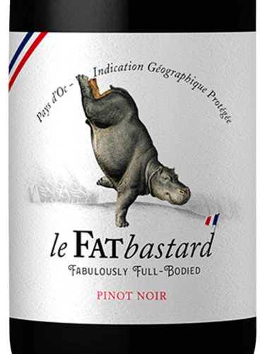 2021 le FATbastard Pinot Noir | Vivino US