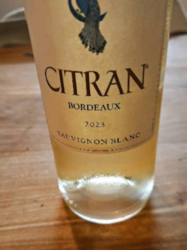 Château Citran Sauvignon Blanc | Vivino US
