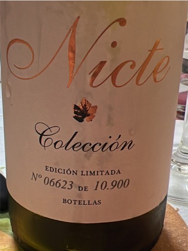 Nicte Colección Edición Limitada Blanco | Vivino España