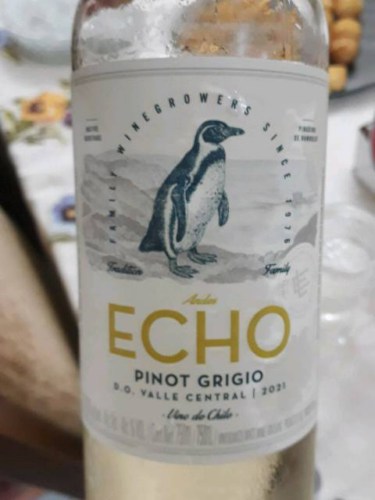 Andes Echo Pinot Grigio | Vivino US