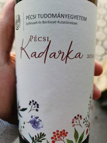 2021 Pécsi Tudományegyetem Kadarka | Vivino US