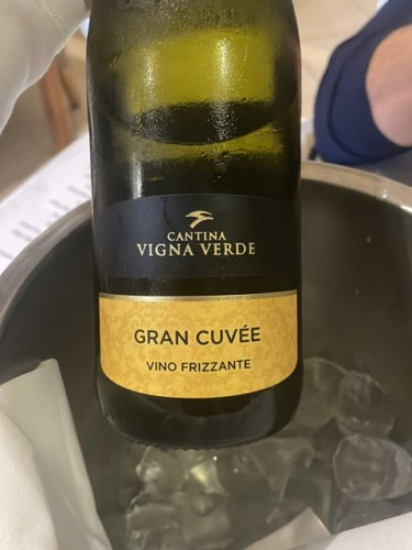 Cantina Vigna Verde Gran Cuvée Frizzante | Vivino