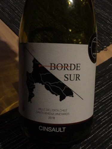 Santa Ximena Borde Sur Cinsault | Vivino US