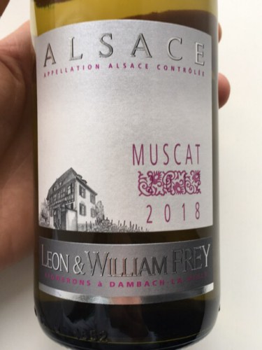 Leon & William Frey Muscat | Vivino English