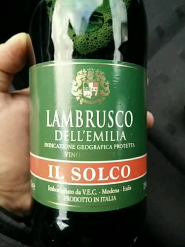Il Solco Lambrusco dell'Emilia Frizzante | Vivino English