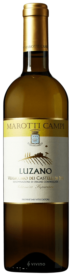Marotti Campi Winery | Vivino