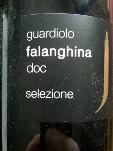 La Guardiense Guardiolo Falanghina Selezione | Vivino Canada