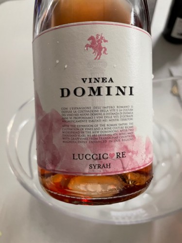 Gotto d'Oro Vinea Domini Luccicore Syrah Rosé | Vivino US