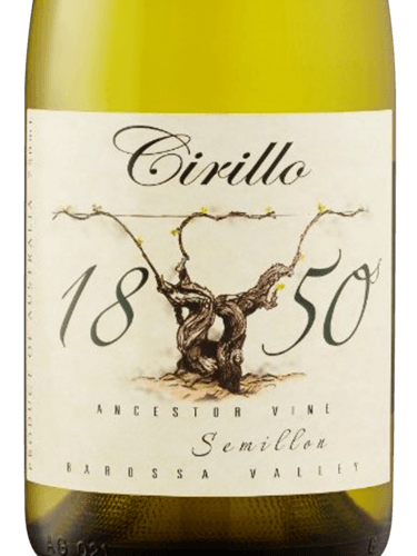 Cirillo 1850 Ancestor Vine Semillon | Vivino US