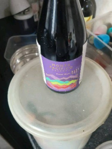 Monte Pacífico Reserva Pinot Noir | Vivino US