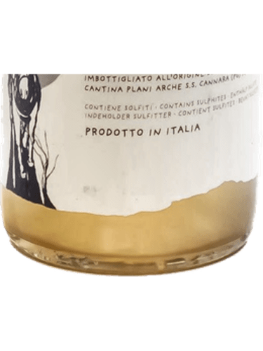 Plani Arche A Modo Mio Petnat Bianco Frizzante | Vivino English