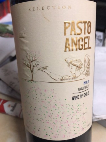 Pasto Angel Selection Merlot | Vivino España