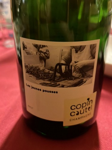 Copin-Cautel Les Jeunes Pousses Brut Champagne | Vivino US
